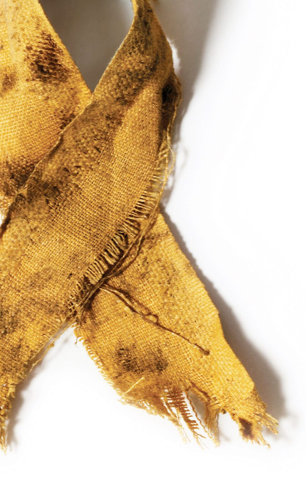 Uncharitable Movie Official Site - Uncharitable